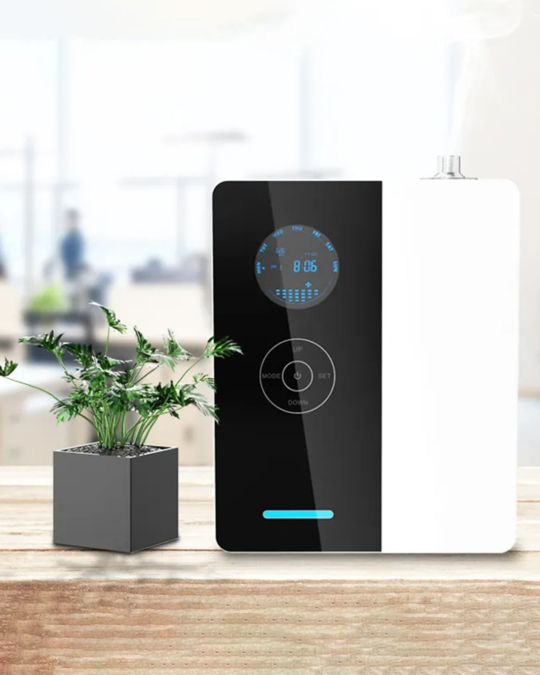 Aromas by LUMA – Aromas By LUMA